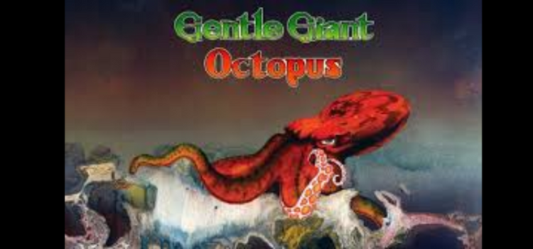 The magnificent Gentle Giant Octopus – DJTees